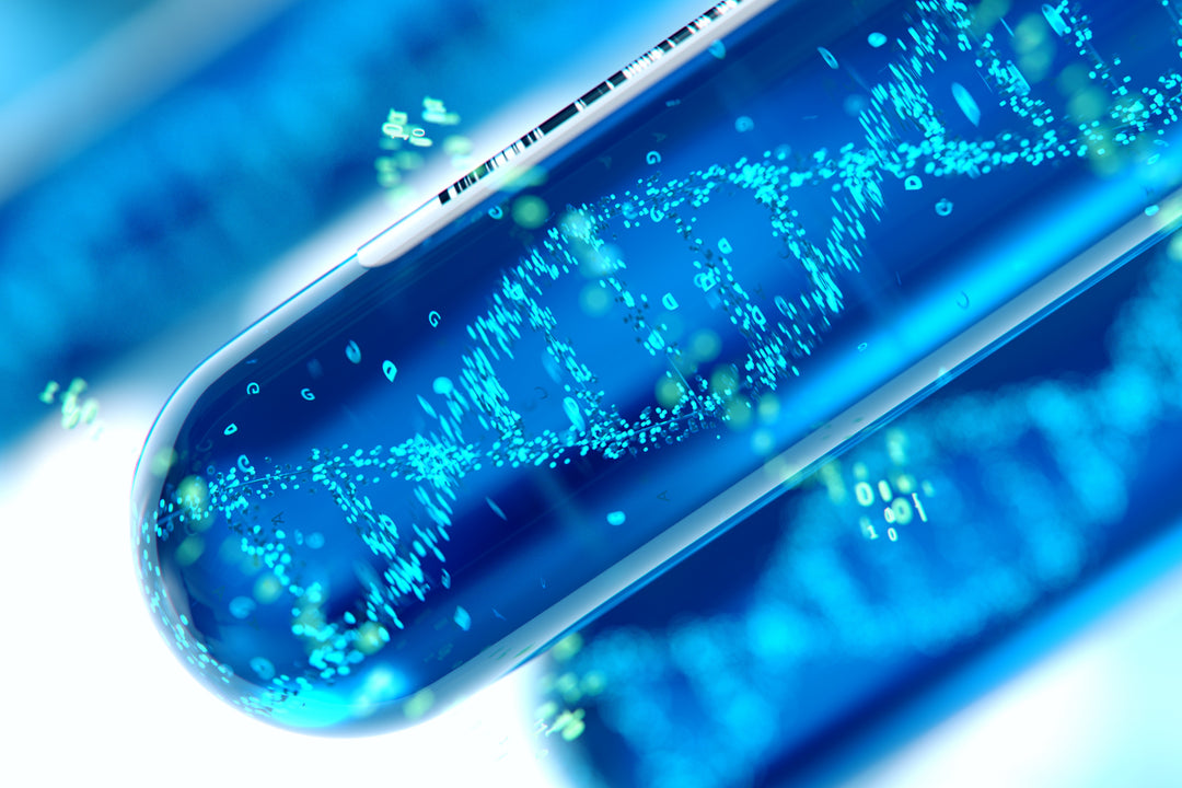 Types of DNA Tests: Direct vs. Linked Marker Tests – MyDogDNA