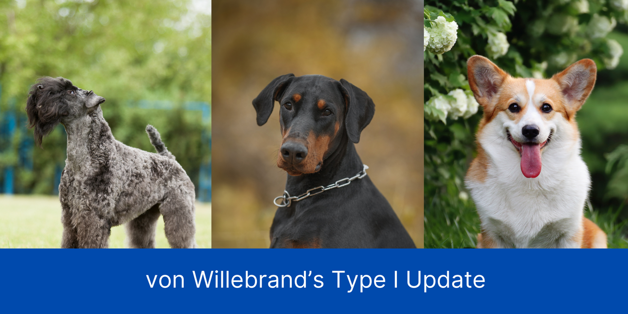 Scientific Update to von Willebrand Type I Test Reporting – MyDogDNA