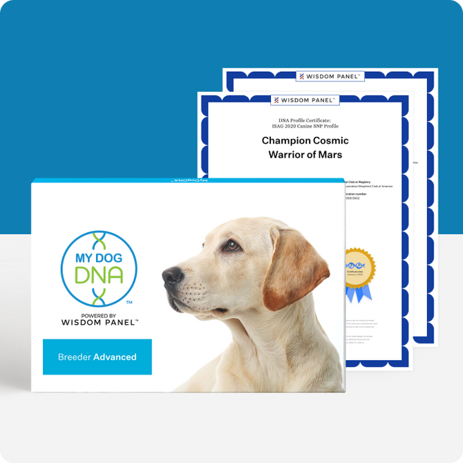 Wisdom Panel™ Essential - Pet Owner Kit – MyDogDNA