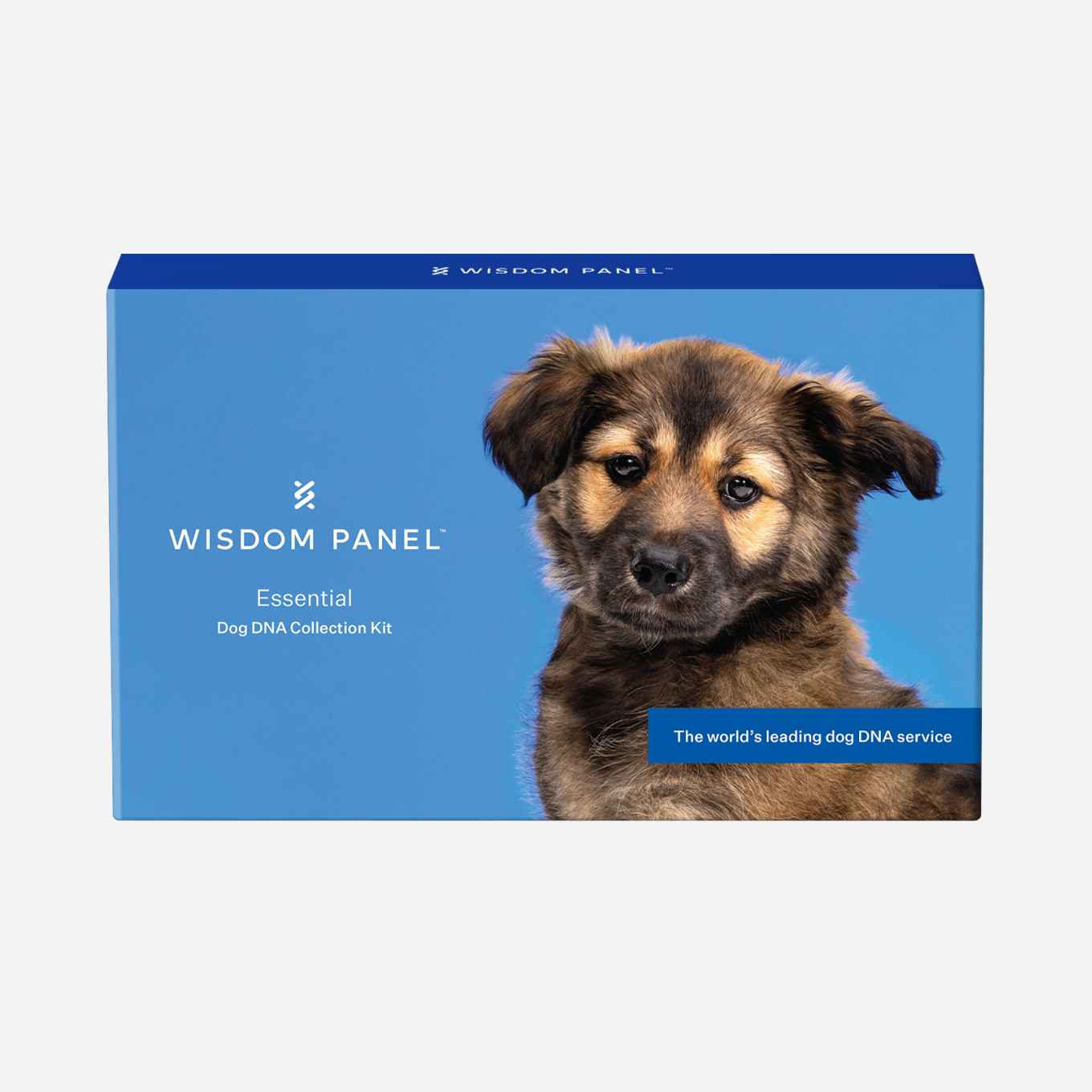 Wisdom Panel™ Essential - Pet Owner Kit – MyDogDNA