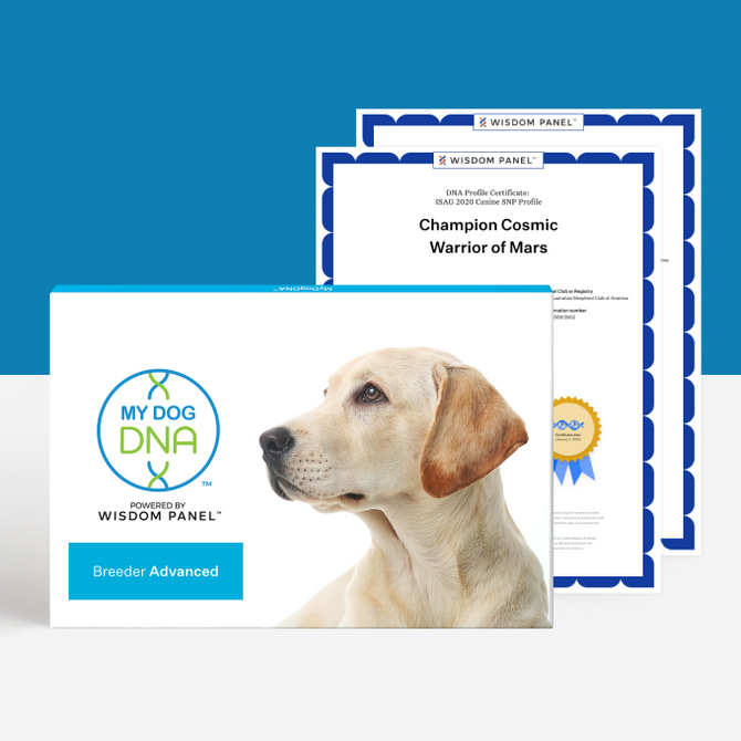 Wisdom Panel™ Essential - Pet Owner Kit – MyDogDNA